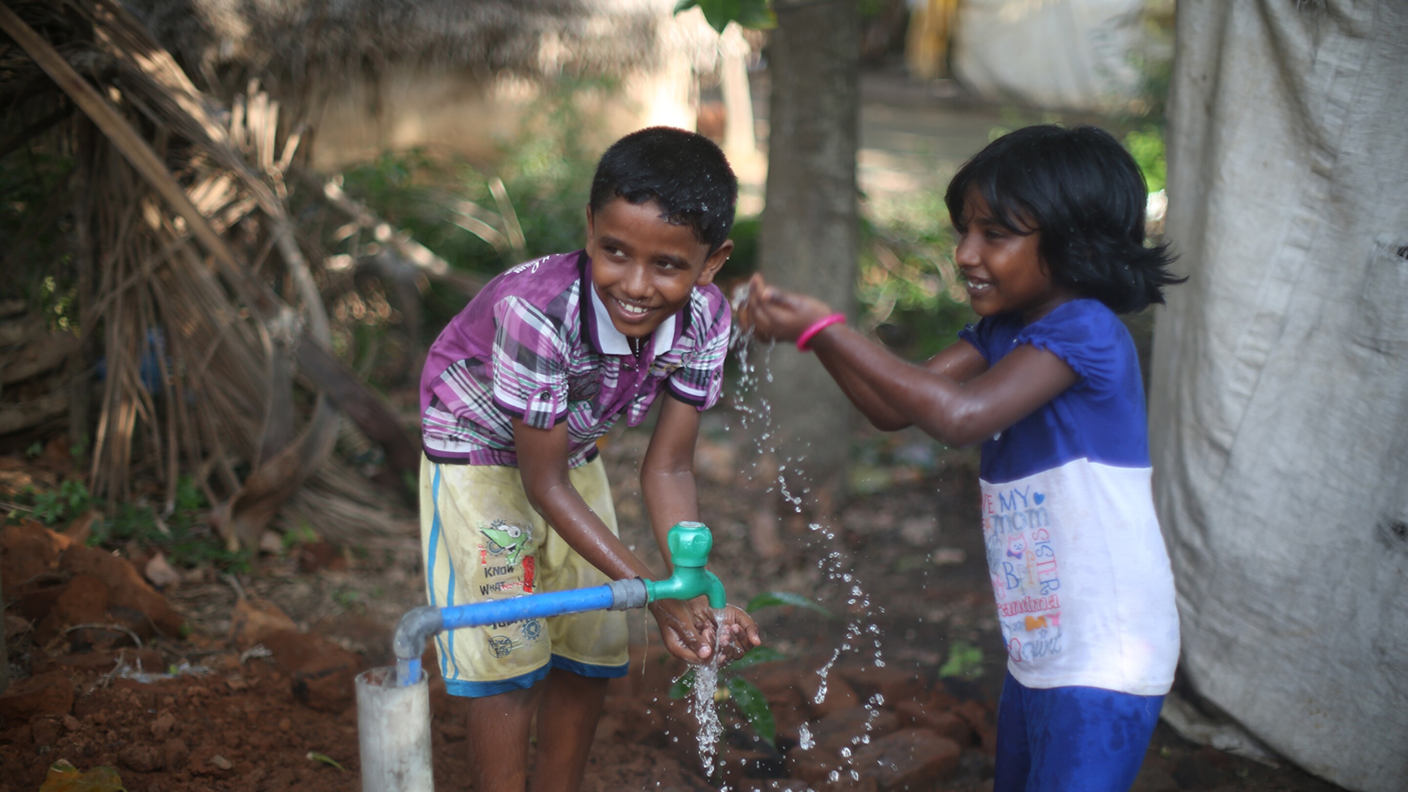 Progress - Amazon Sustainability