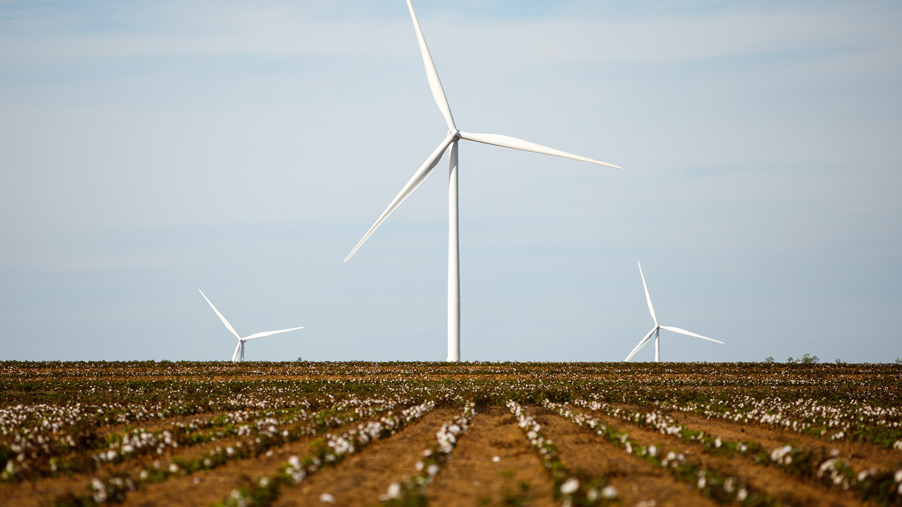 Renewable Energy - Amazon Sustainability